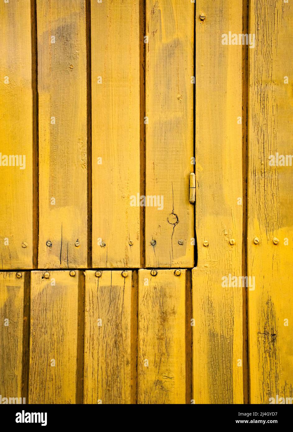background or texture orange colored wood paneling with curtain Stock ...