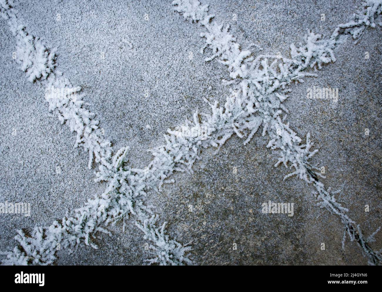 winter background snowy pavement with grass Stock Photo - Alamy