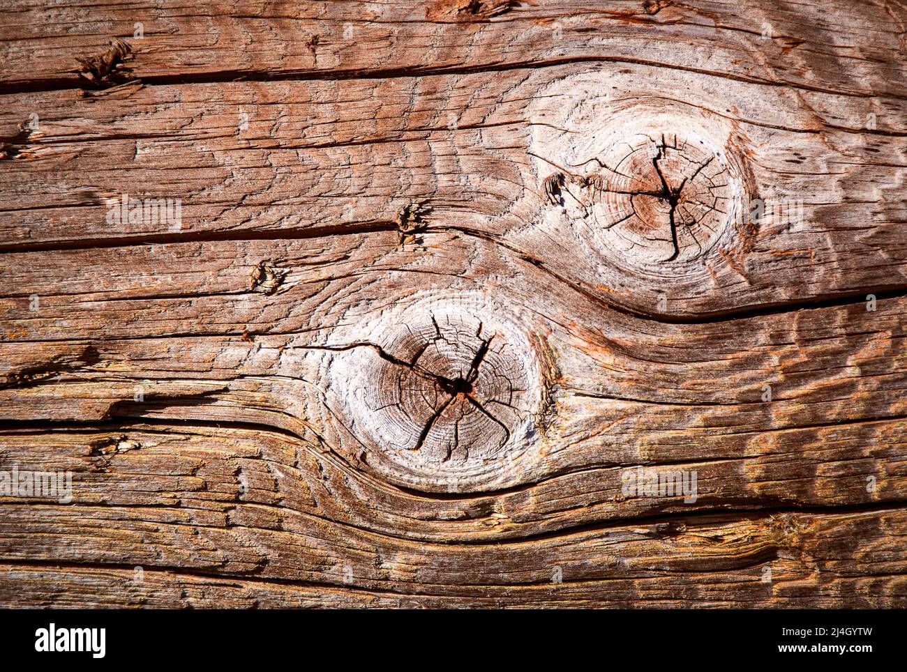 Old gray tree knot hi-res stock photography and images - Alamy