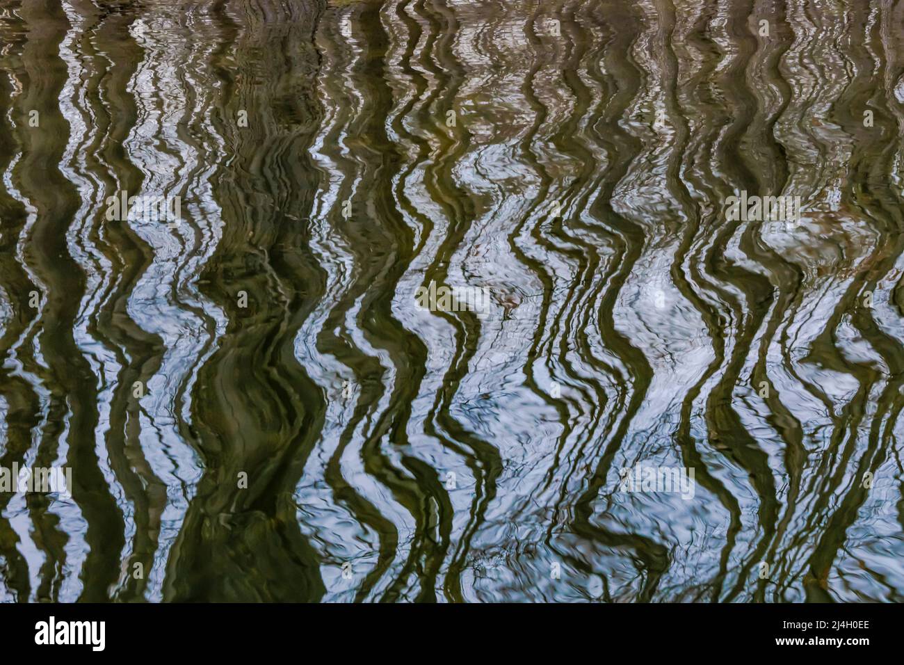 Pond surface reflections trees moving hi-res stock photography and ...