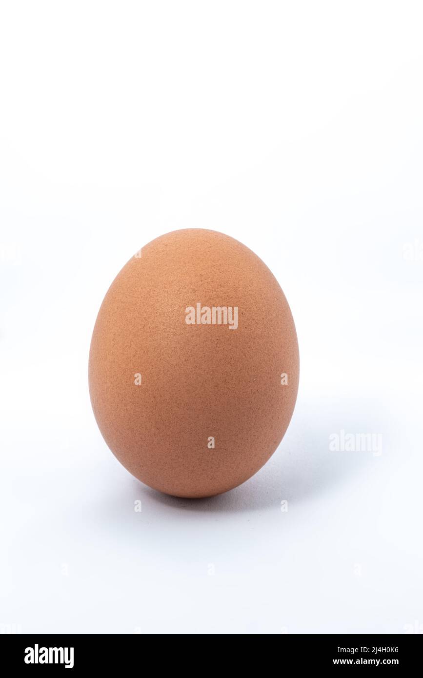 Egg standing upright on a white background. Closeup of egg shell ...