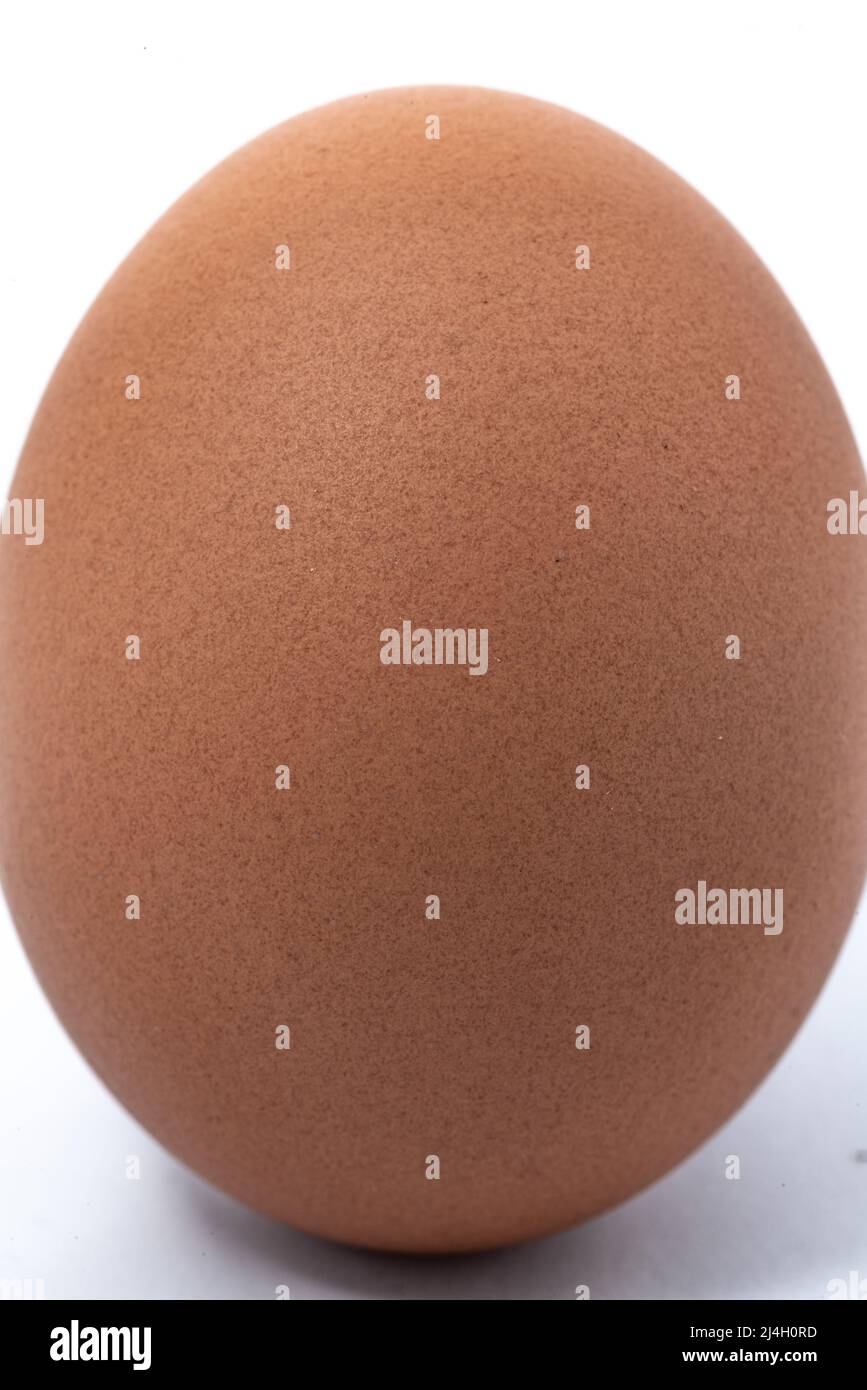 Egg standing upright on a white background. Closeup of egg shell ...