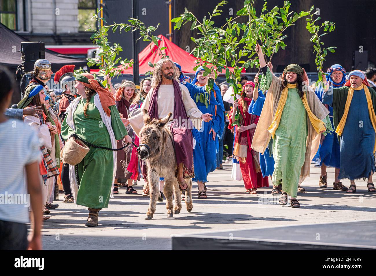 Triumphal Entry Passion Of The Christ
