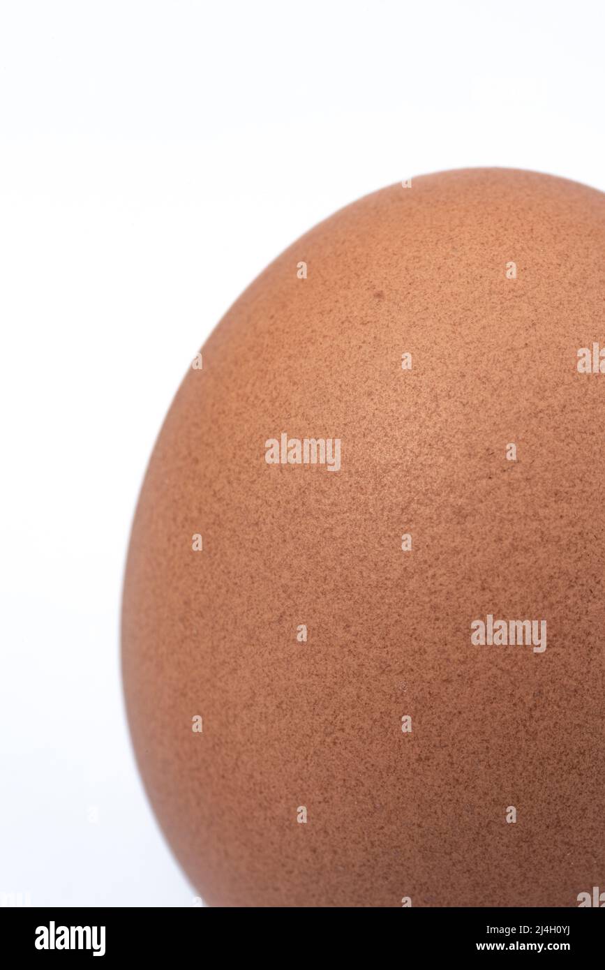 Egg standing upright on a white background. Closeup of egg shell ...