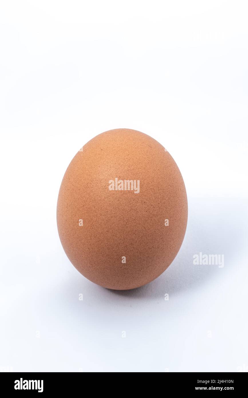 Egg standing upright on a white background. Closeup of egg shell ...