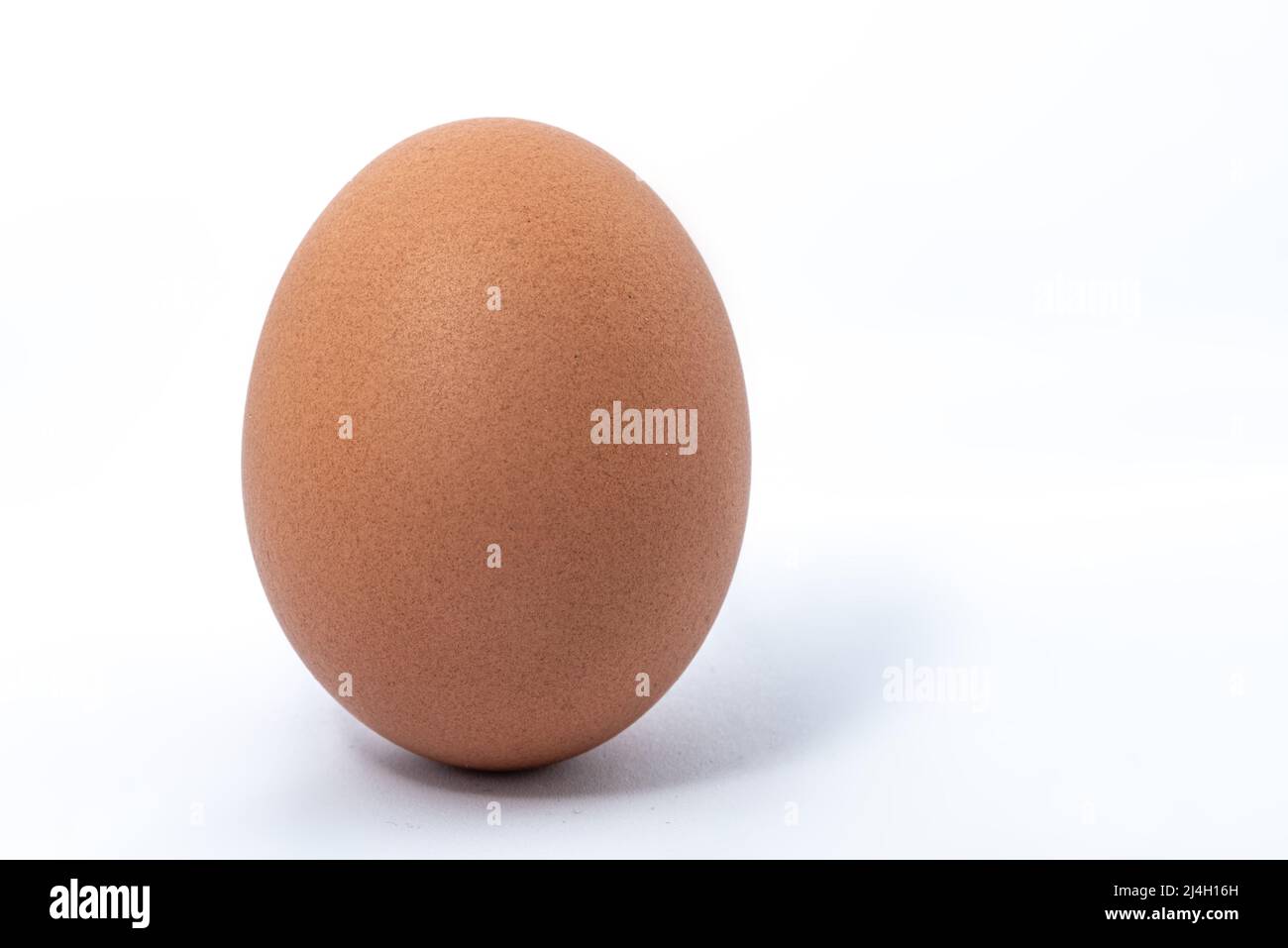 Egg standing upright on a white background. Closeup of egg shell ...