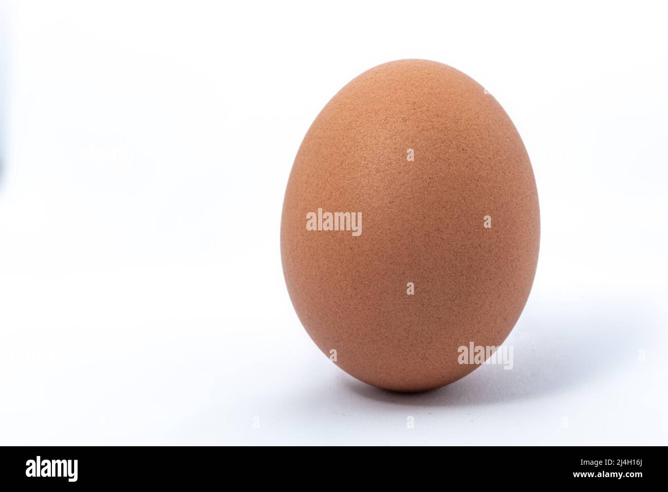 Egg standing upright on a white background. Closeup of egg shell ...