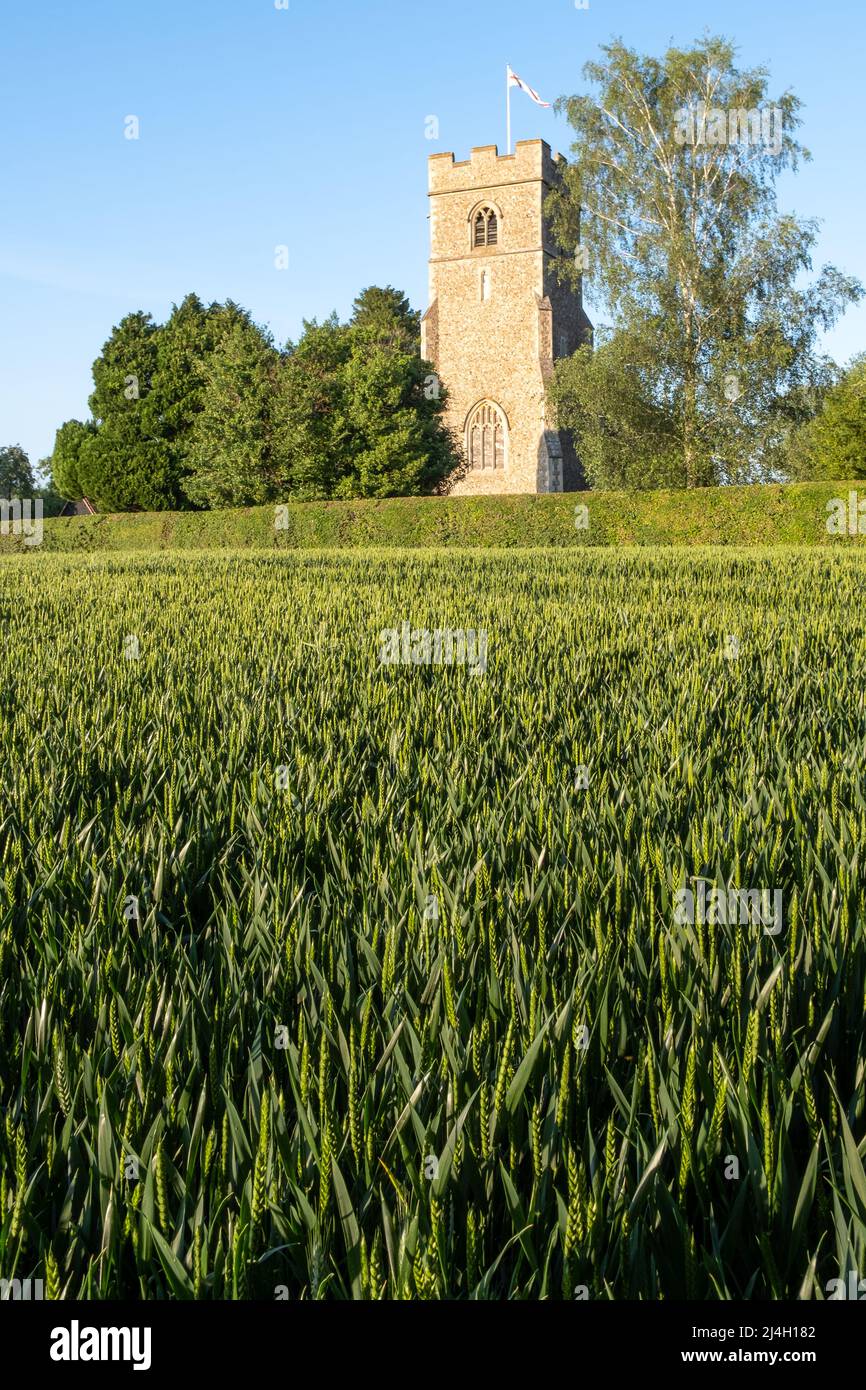 The churches and churchyards of the two side by side churches in ...