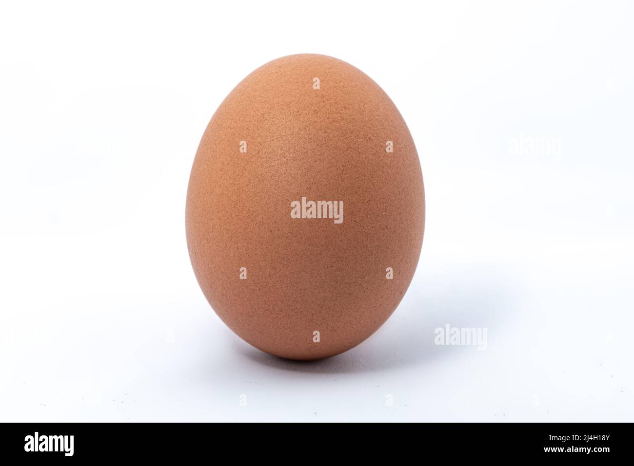 Egg standing upright on a white background. Closeup of egg shell ...