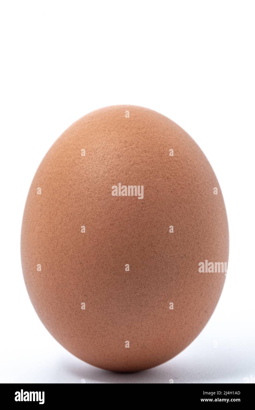Egg standing upright on a white background. Closeup of egg shell ...