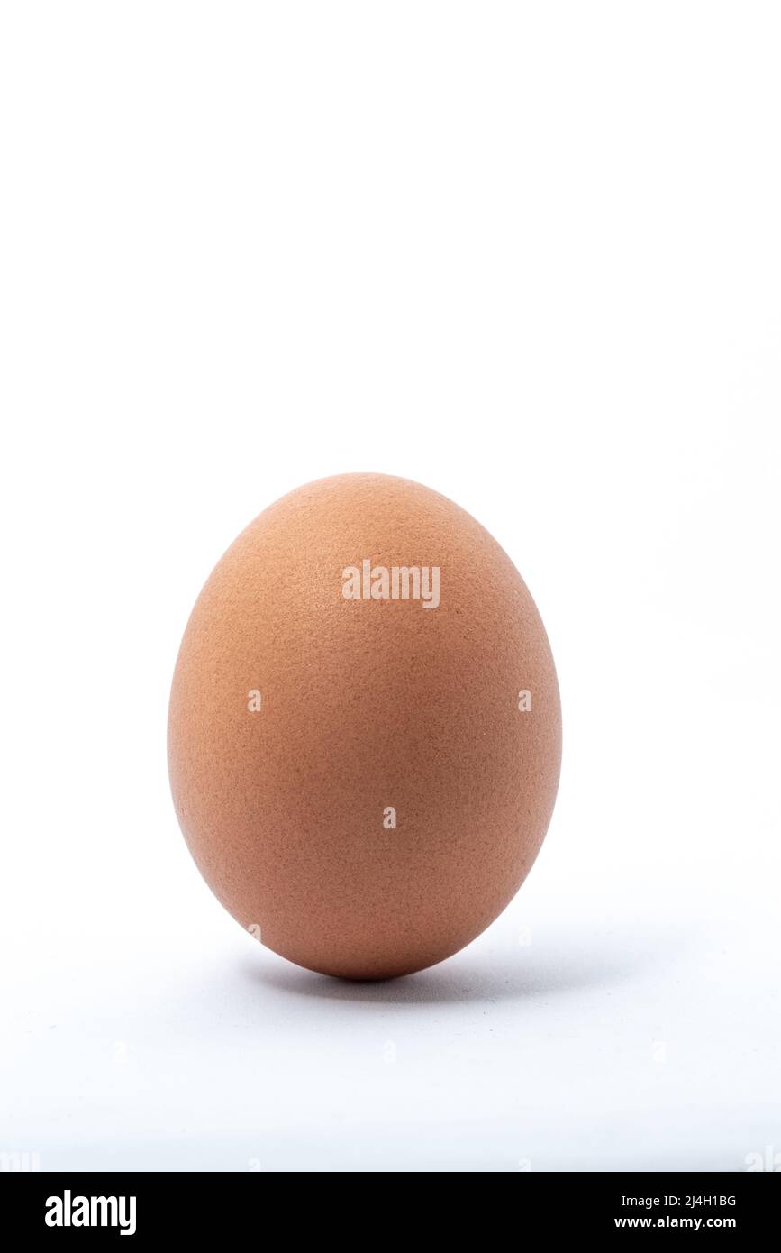 Egg standing upright on a white background. Closeup of egg shell ...