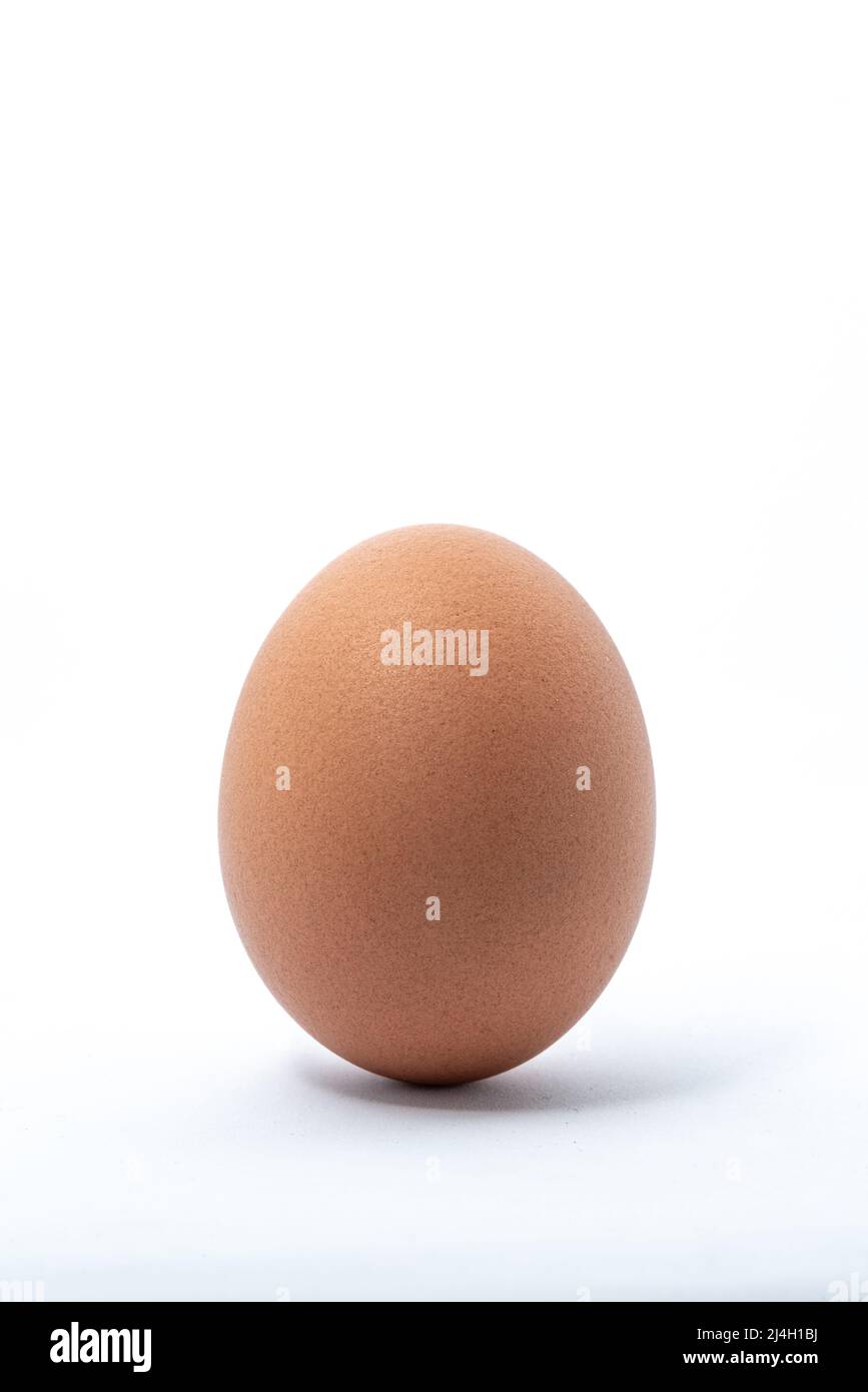 Egg standing upright on a white background. Closeup of egg shell ...