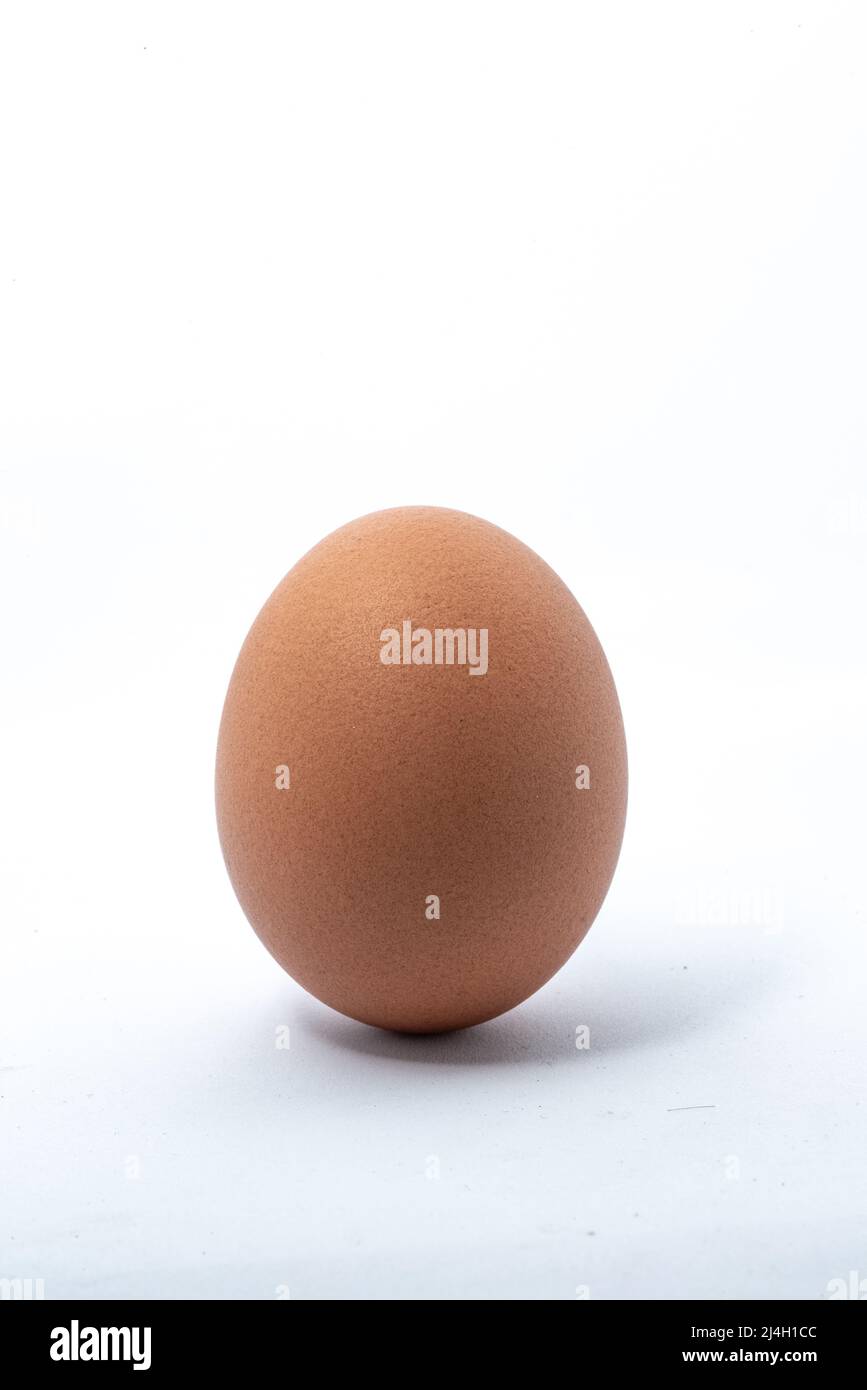 Egg standing upright on a white background. Closeup of egg shell ...