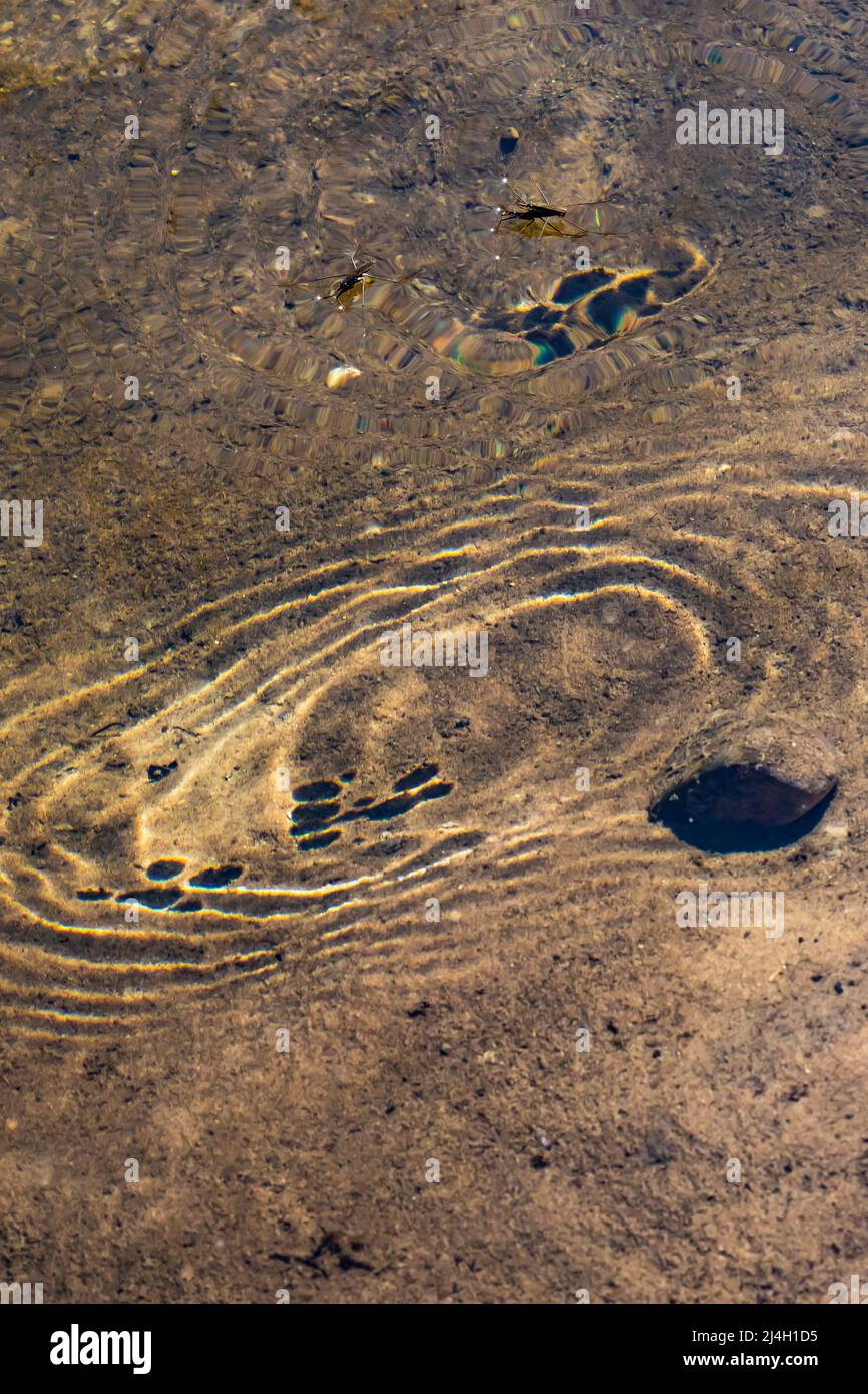 Meniscus water hi-res stock photography and images - Alamy