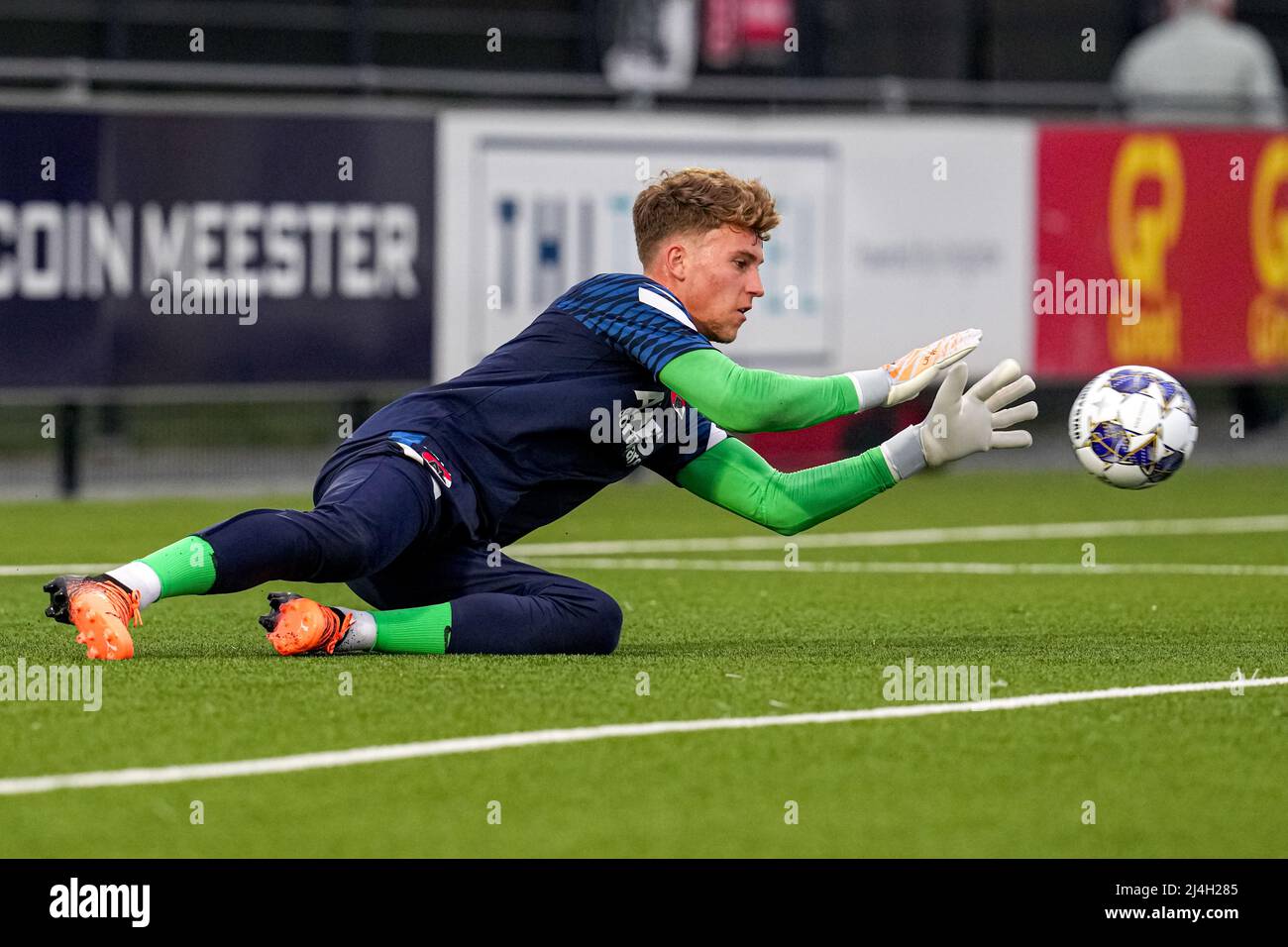 Sam westerveld hi-res stock photography and images - Alamy