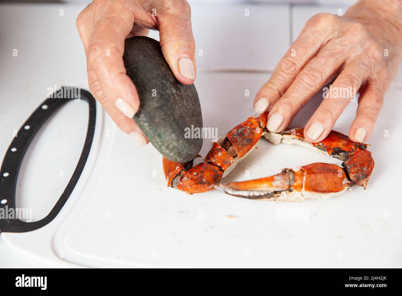Close up of the process of breaking down a fresh crab to take out the ...