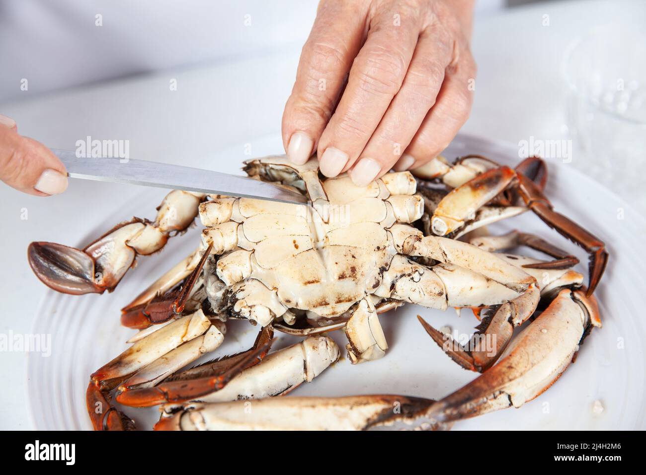 Close up of the process of breaking down a fresh crab to take out the ...