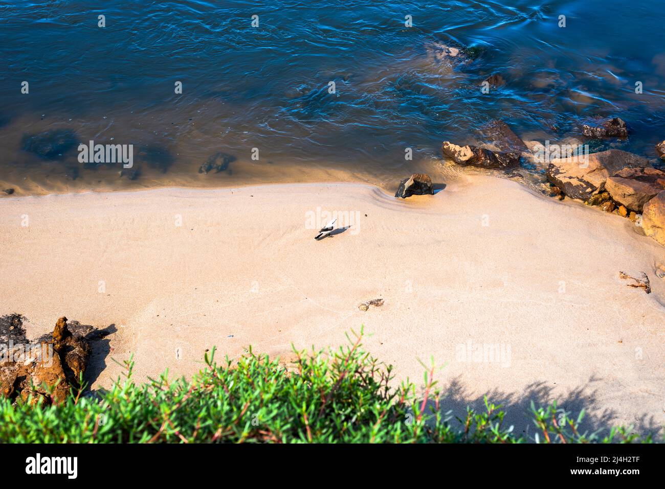 View of the river that flows into Boca do Rio beach in Salvador in the ...