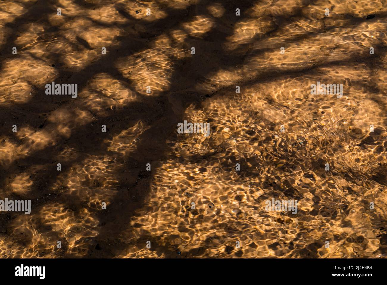 Ripples catching sunlight on the surface of Mitchell Creek, Clay Cliffs ...