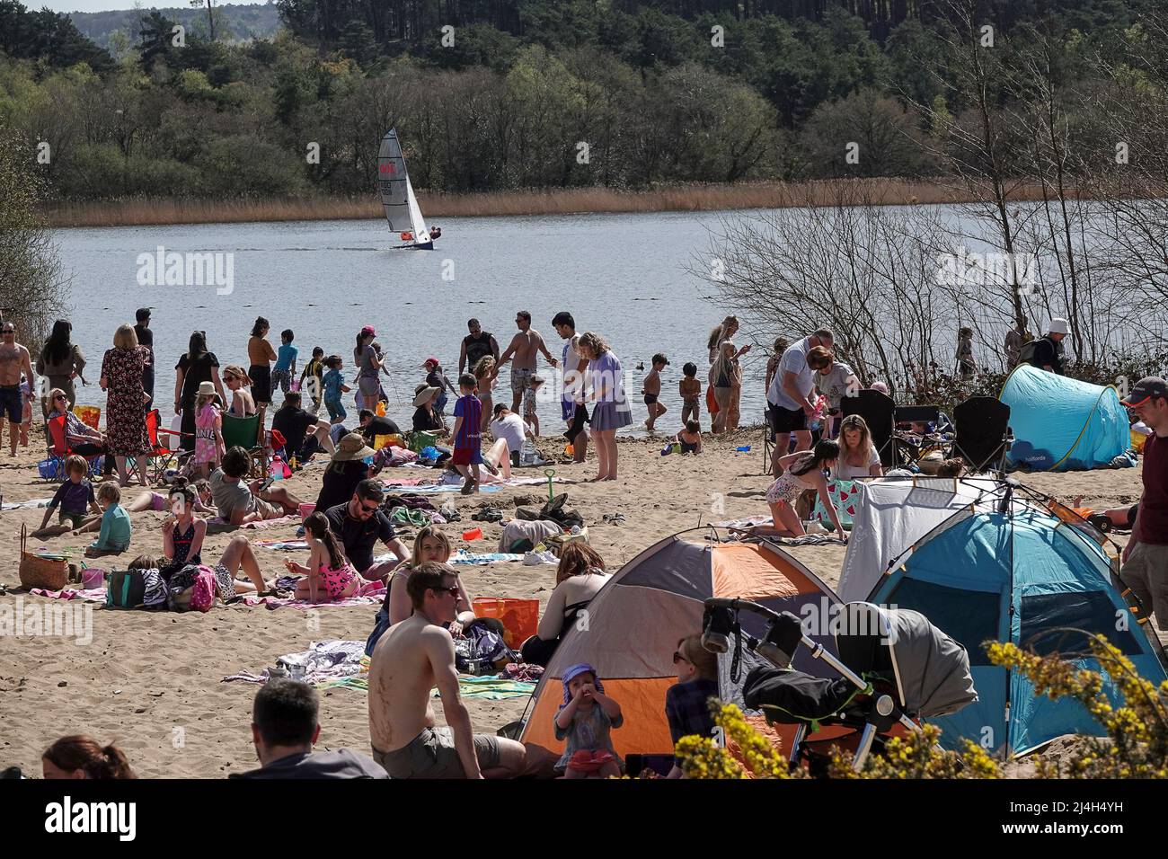 Frensham great pond, Frensham. 15th April 2022. The warmest day of the ...