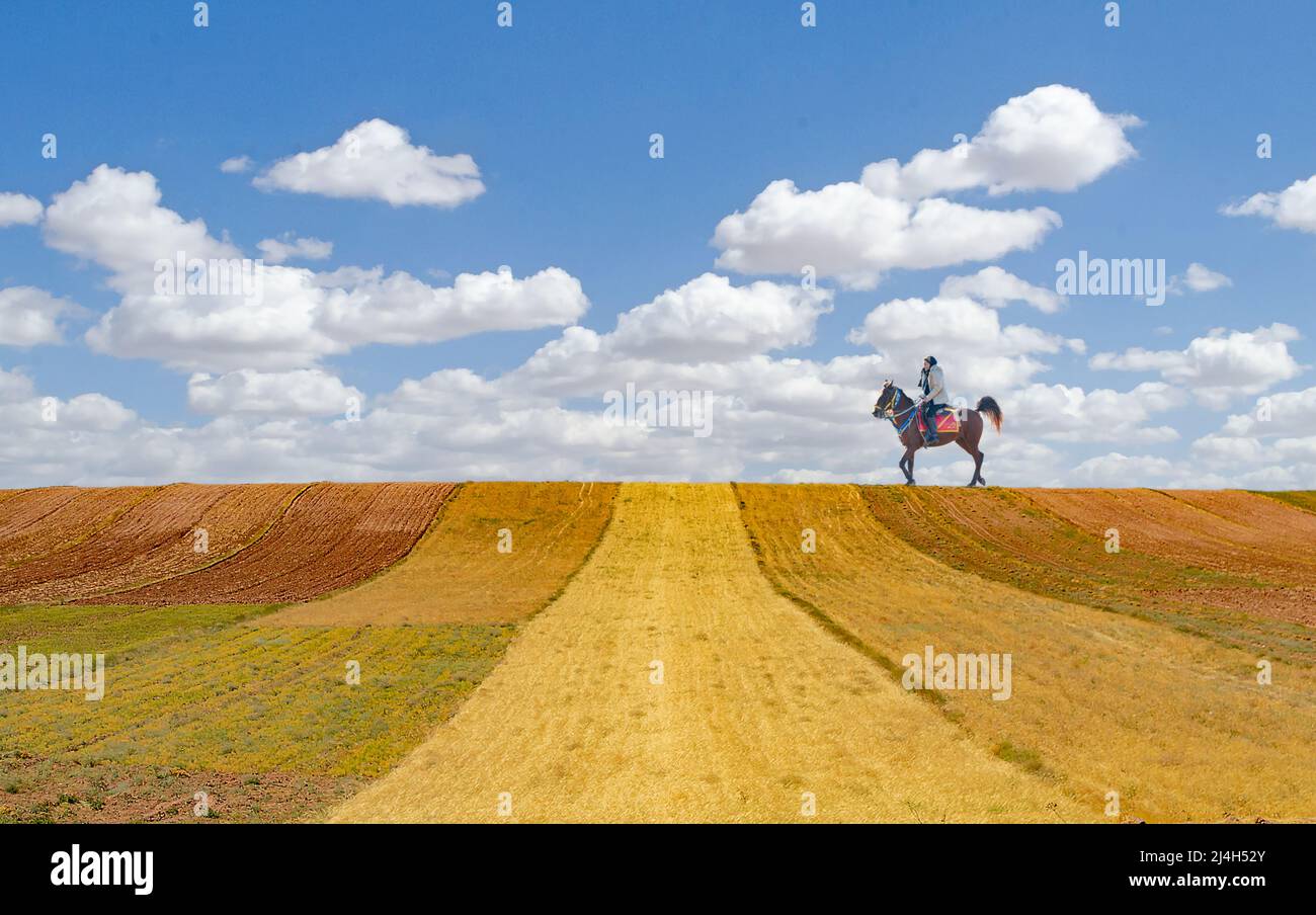 The only rider on the farm Stock Photo - Alamy