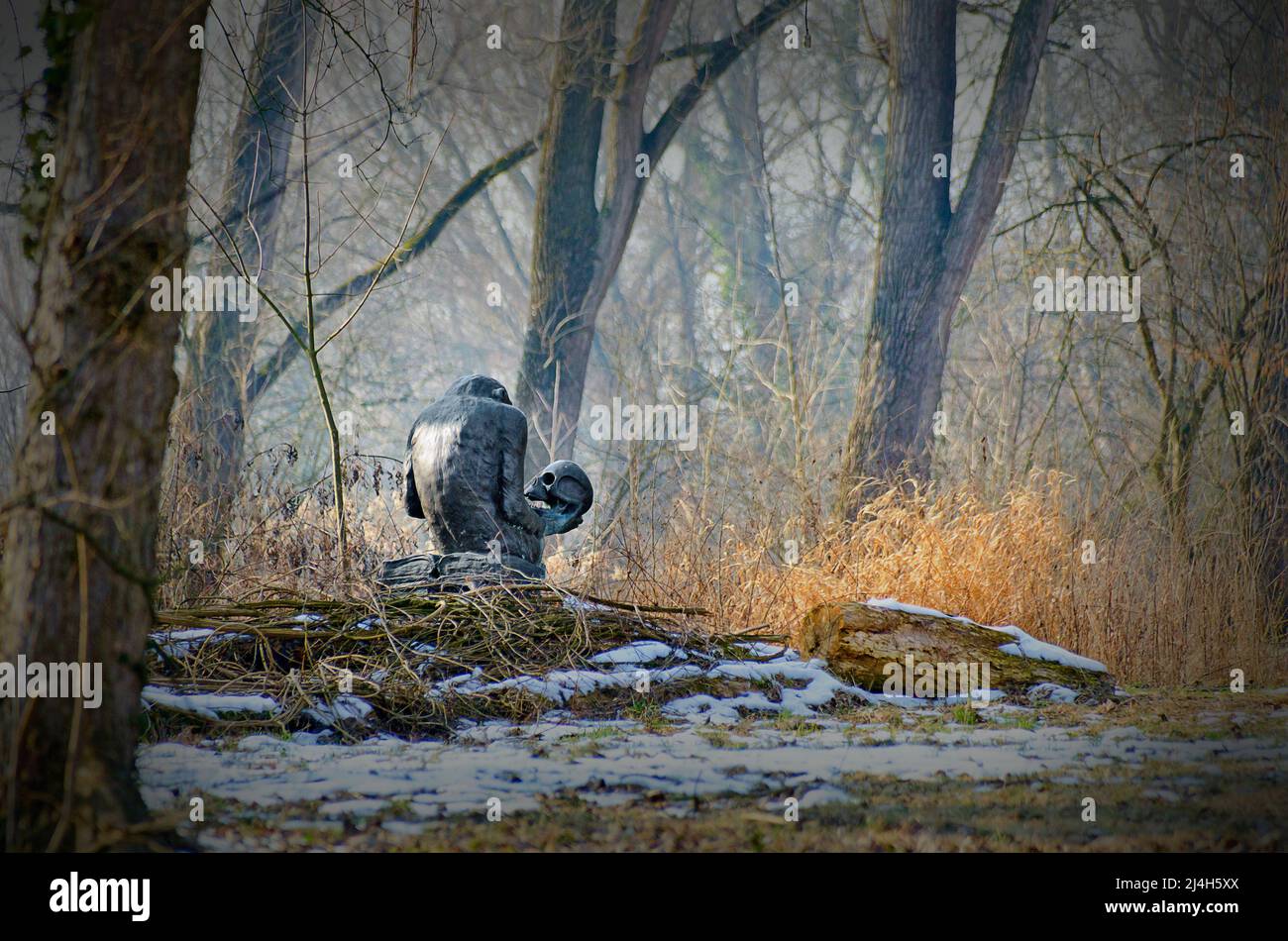 statue of an ape with a skul in the hand in the riparian forest at ...