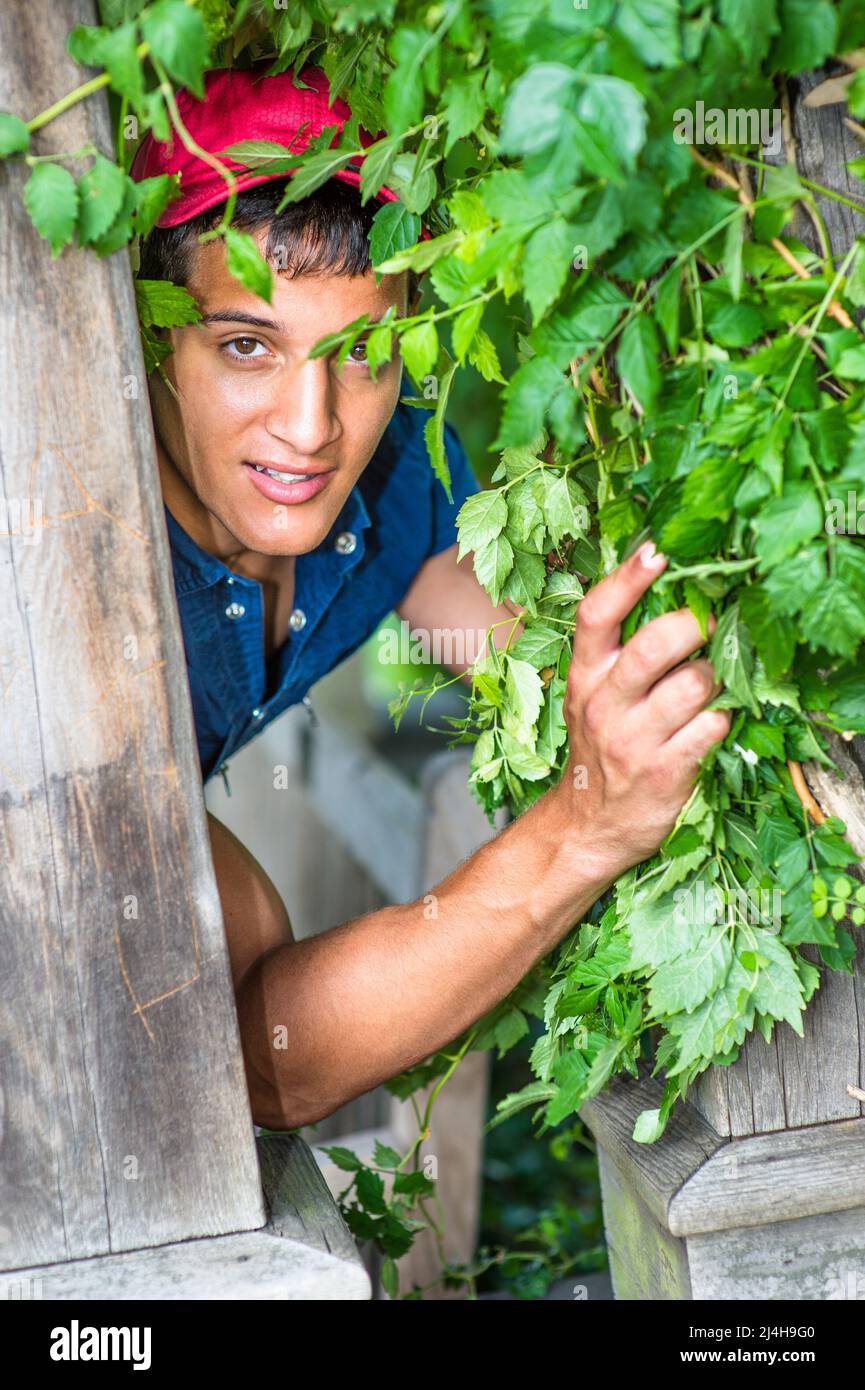 A young guy is playfully hiding behind a bunch of green leaves Stock ...