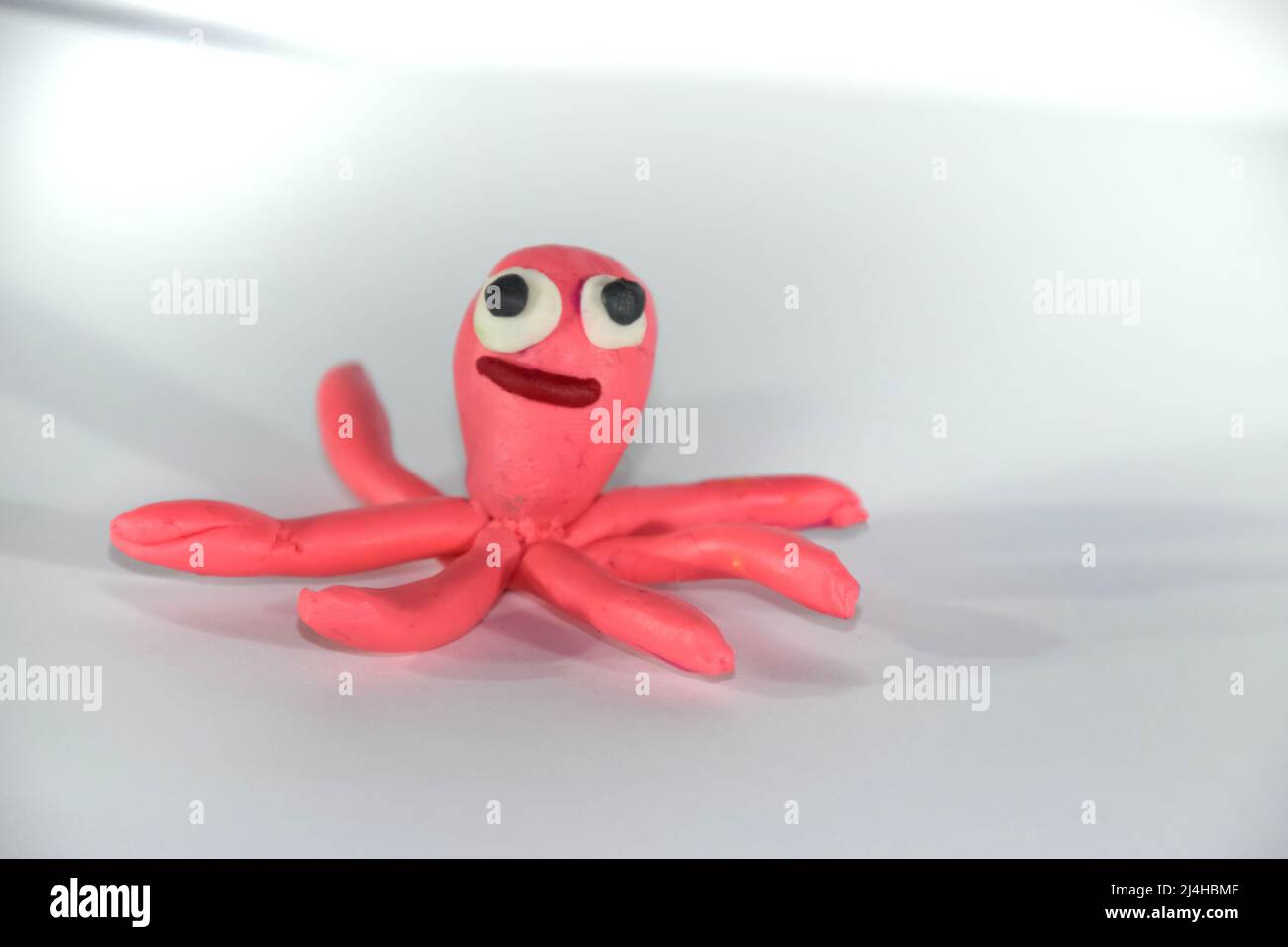 Happy cuttlefish hi-res stock photography and images - Alamy