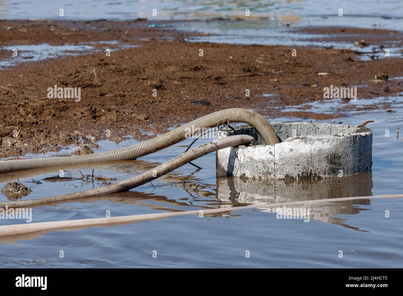Process of pumping water into sewer pipe during spring flood in ...