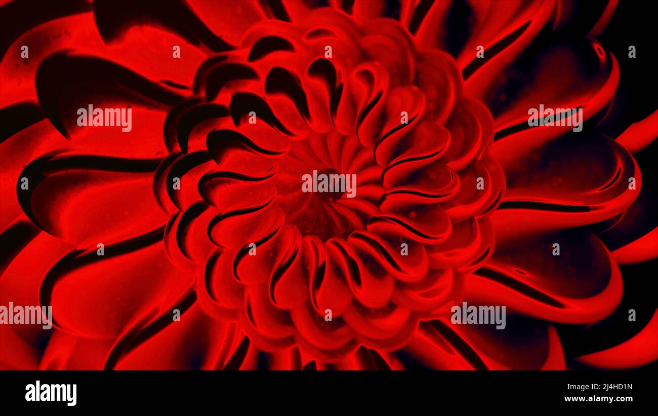 Floating hypnotic Flower pattern. Motion. Psychedelic wavy distortions ...