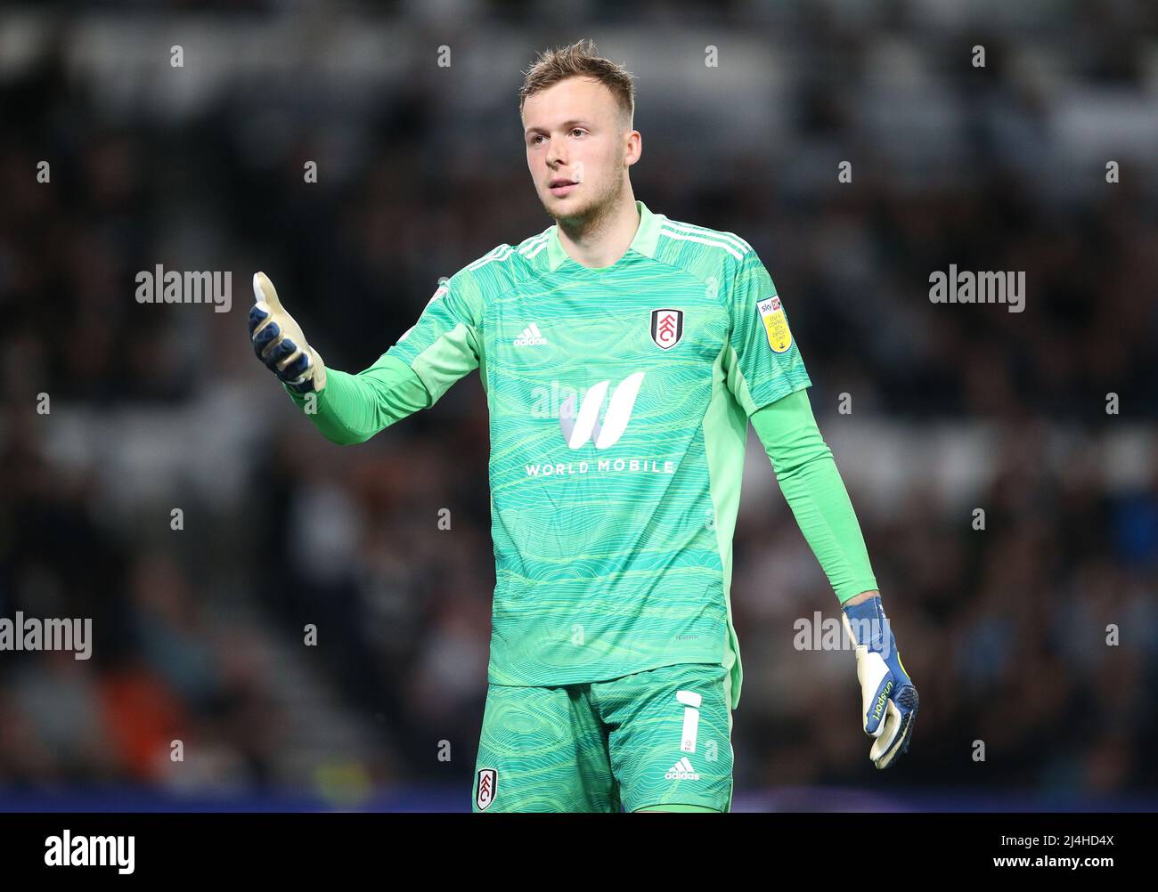 Fulham goalkeeper Marek Rodak during the Sky Bet Championship match at ...