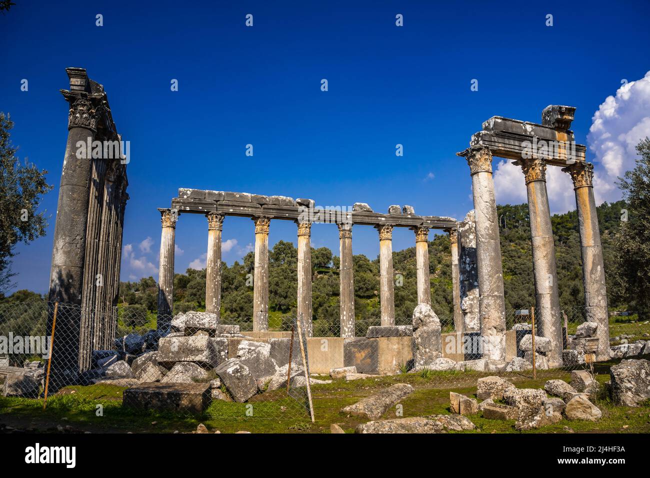 Impressive Temple of Zeus Lepsinos. Euromus (Euromos) Ancient City ...