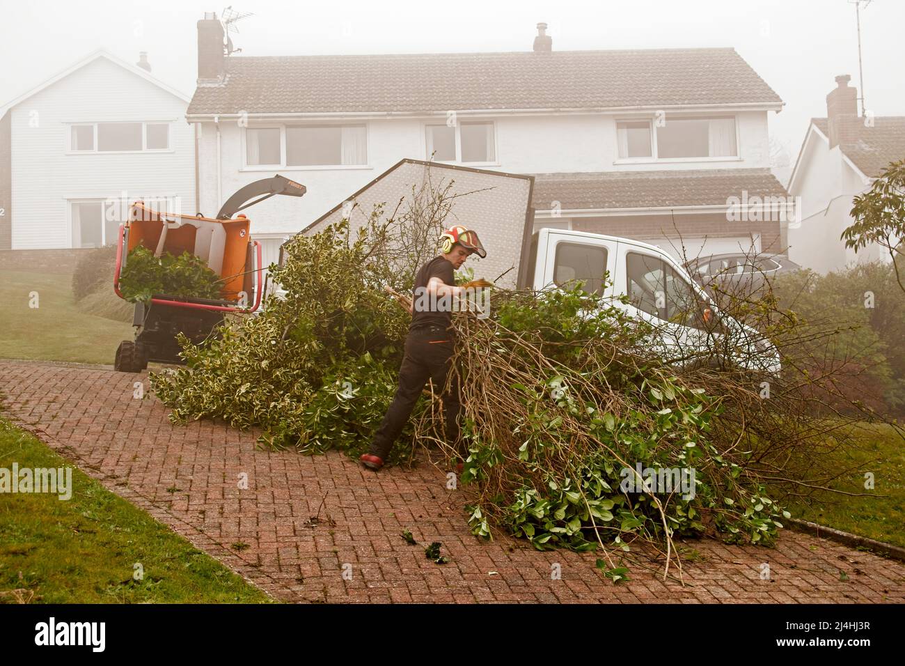 Tree and garden clearing Stock Photo - Alamy