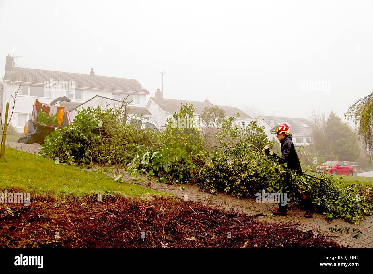 Tree and garden clearing Stock Photo - Alamy