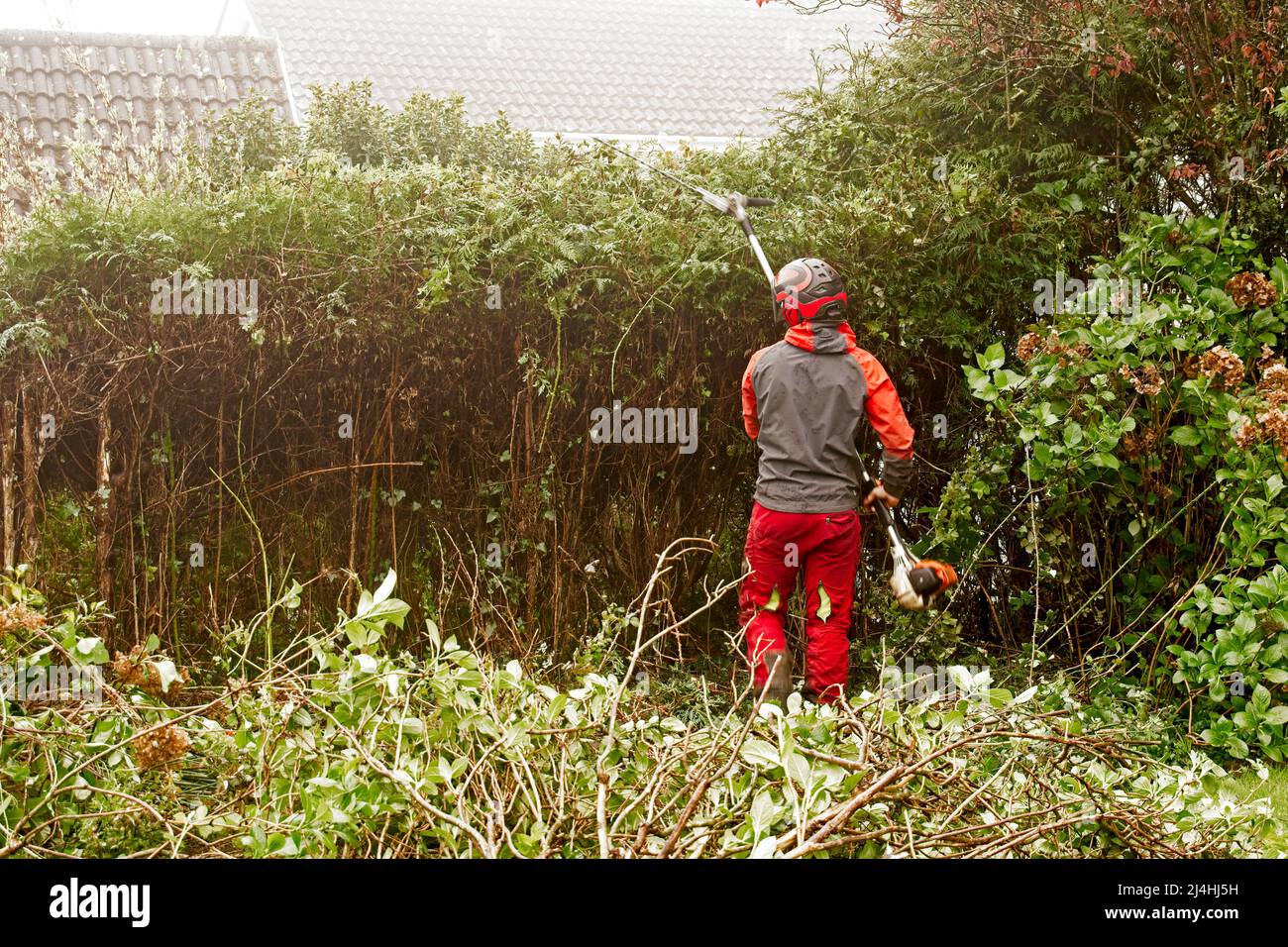 Tree and garden clearing Stock Photo - Alamy