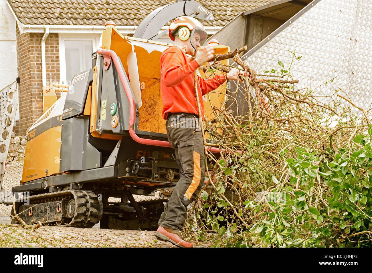 Tree and garden clearing Stock Photo - Alamy