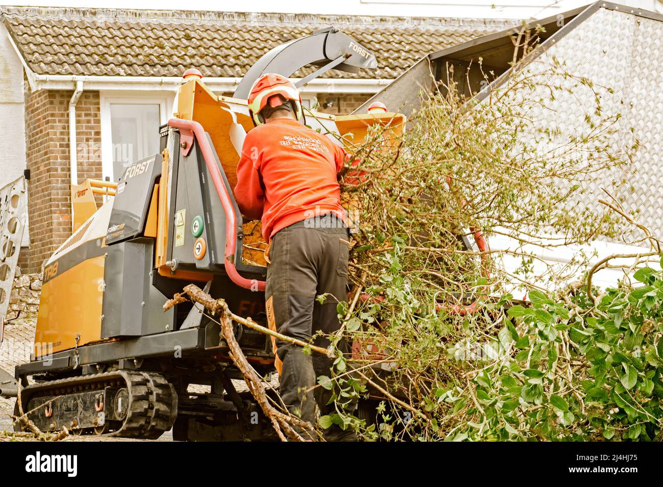 Tree and garden clearing Stock Photo - Alamy