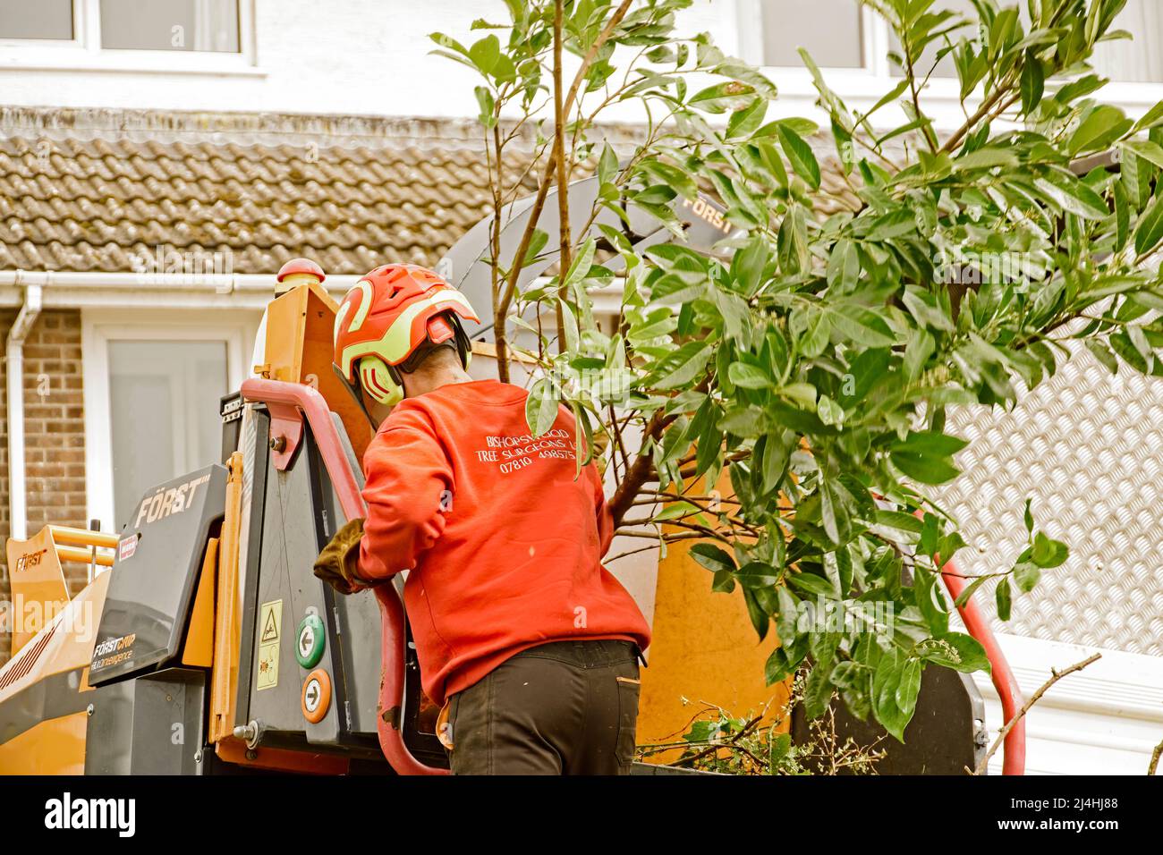 Tree and garden clearing Stock Photo - Alamy