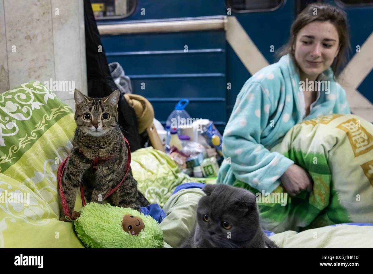 Two cats with their owner seen at the metro station in Kharkiv ...