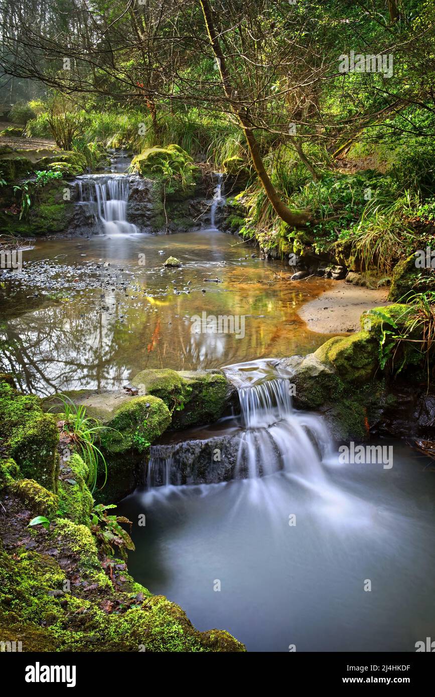 UK, North Yorkshire, Scarborough, Peasholm Park Waterfall Stock Photo ...