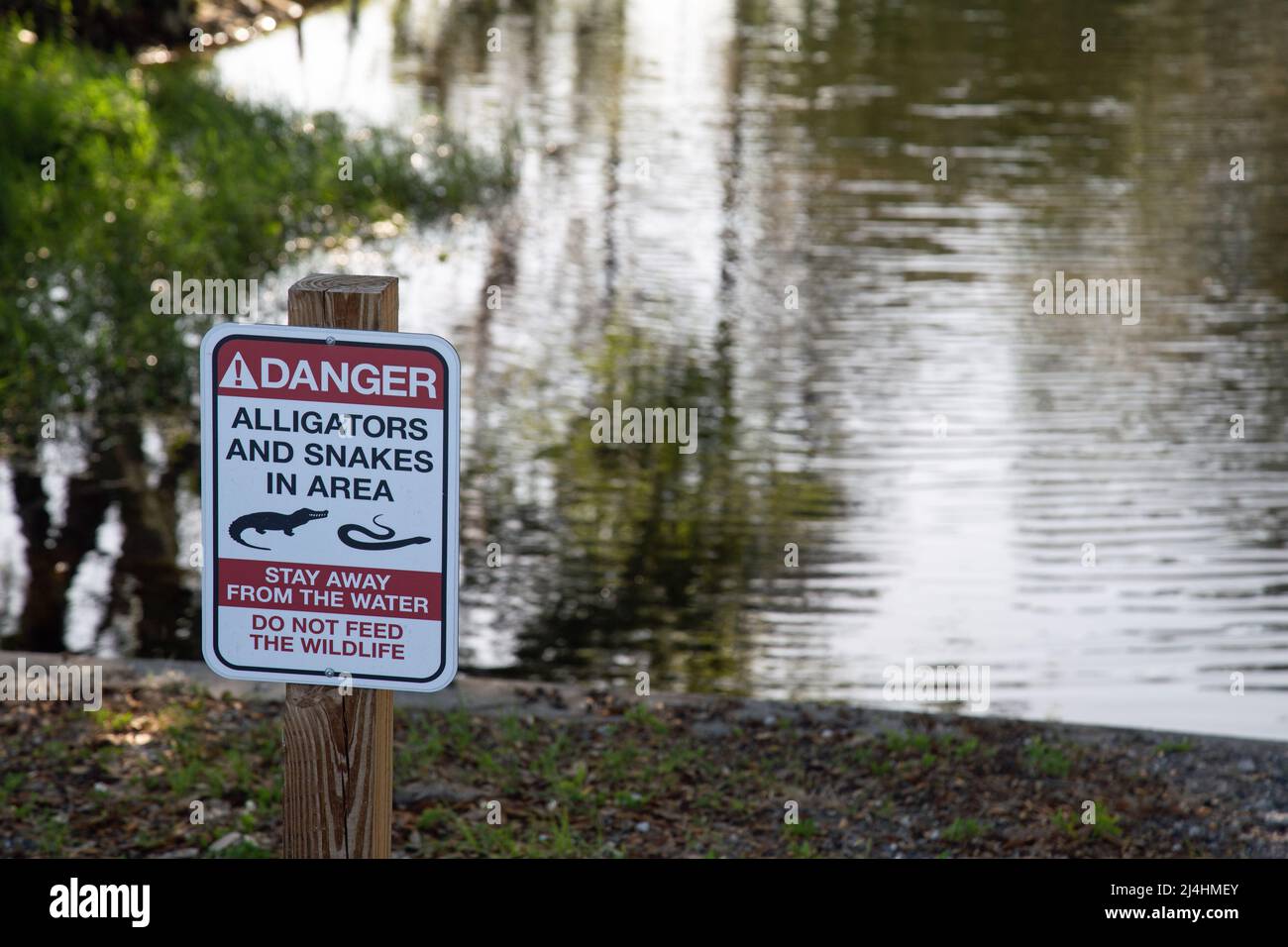 A sign by a river in Orlando, Florida, USA, warns of alligators and ...