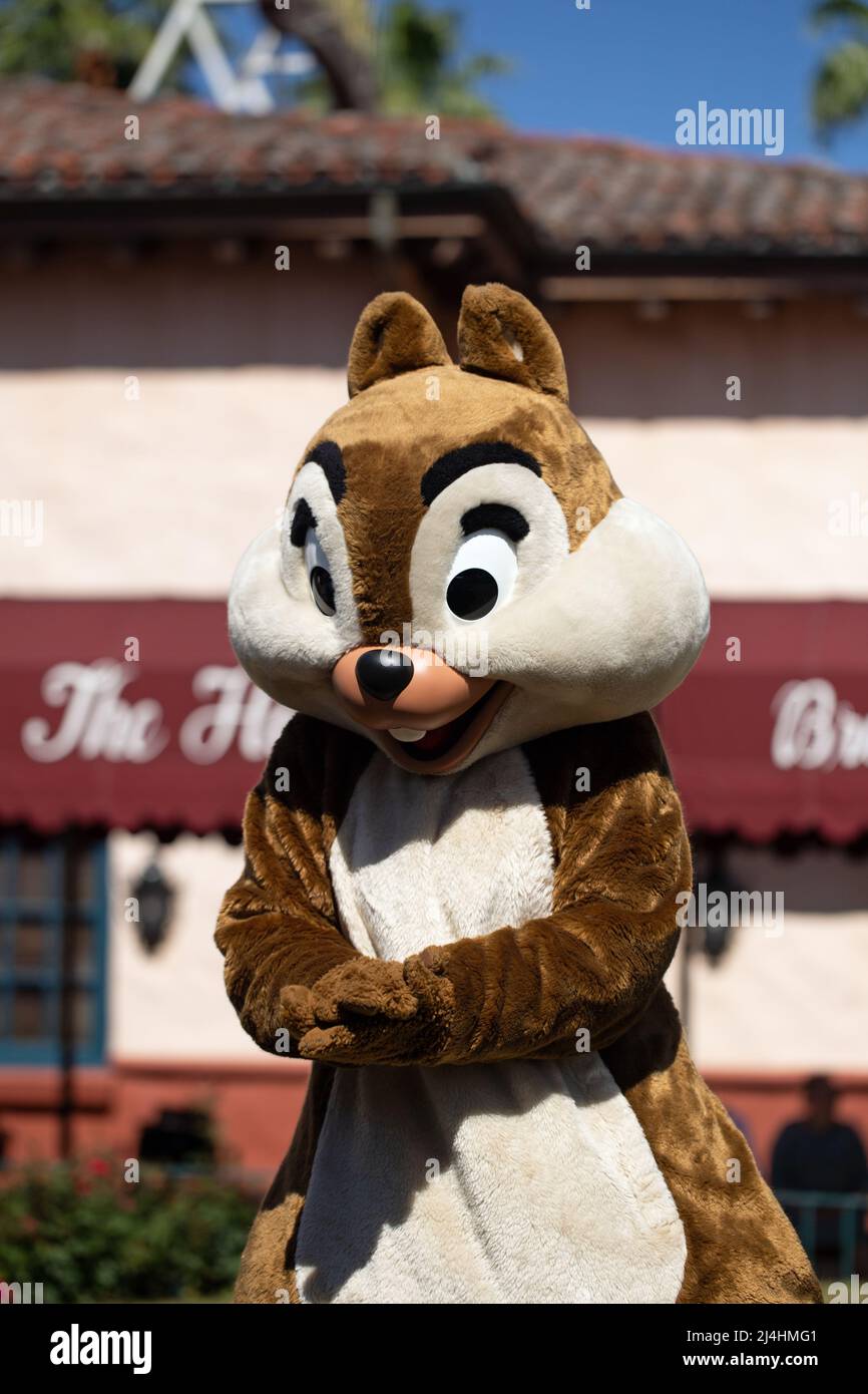 Disney Hollywood Theme Park, Orlando, Florida, USA, people dressed as ...