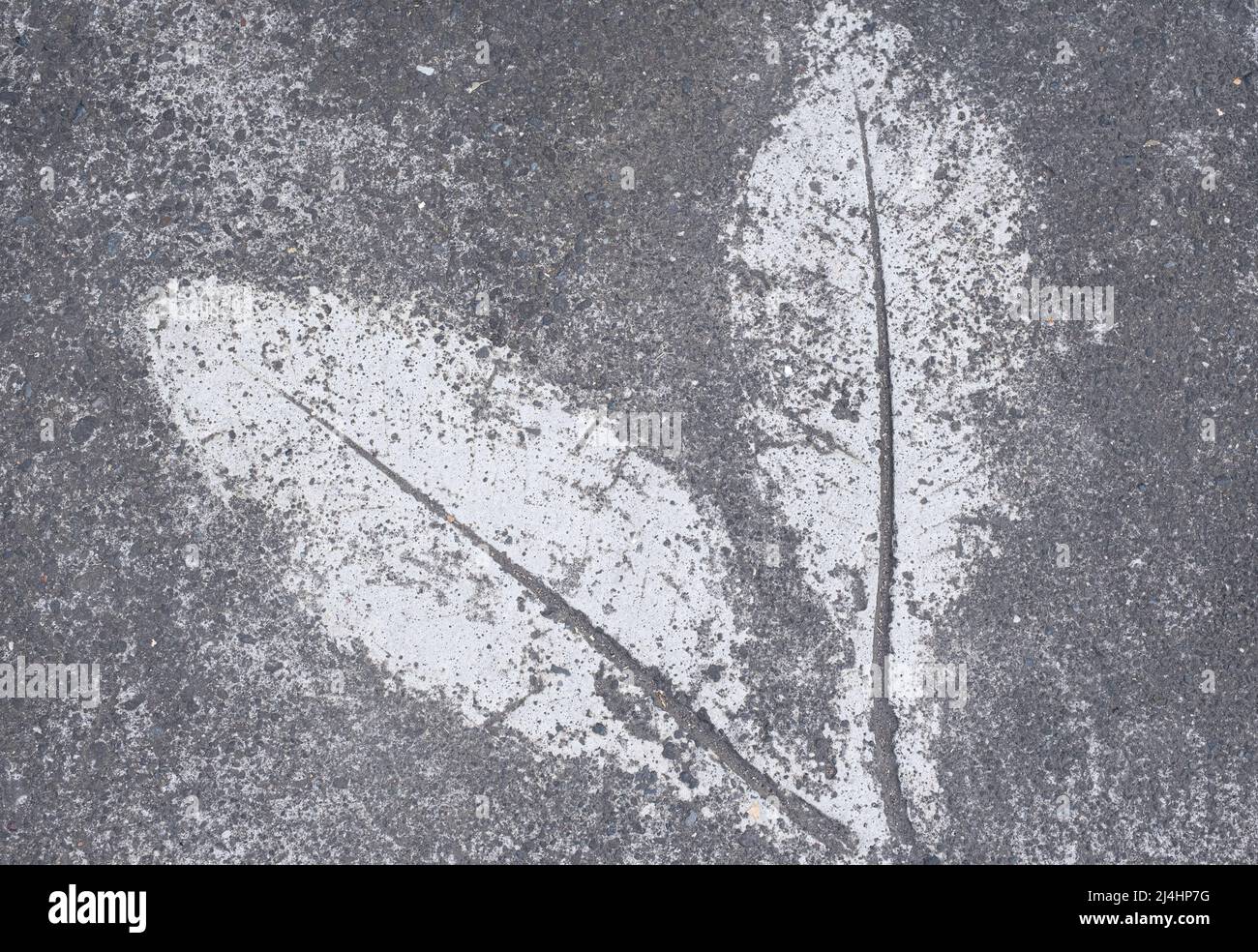 Cement imprint hi-res stock photography and images - Alamy