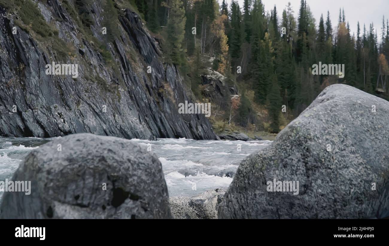 The river runs through the forest. CLIP. Trees grow on both banks of ...