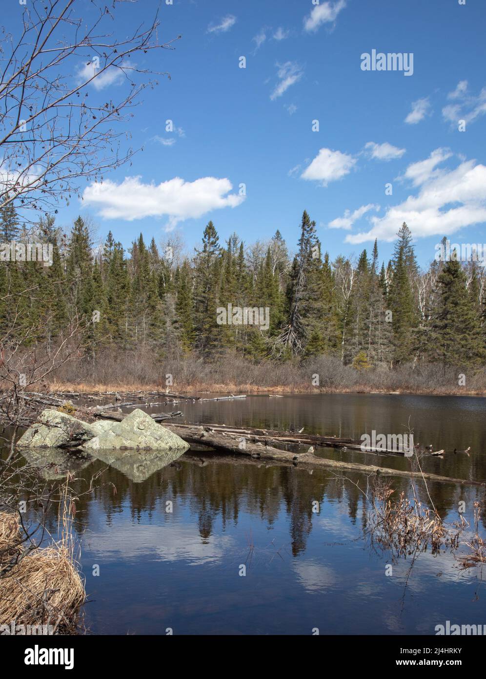 Algonquin Park springtime landscape Stock Photo - Alamy