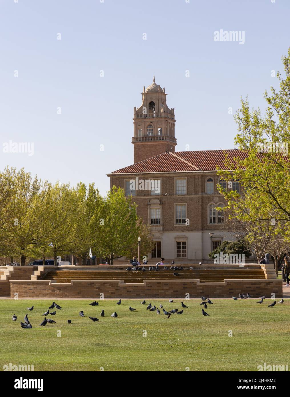 Birds in front of a fountain at Texas Tech University Stock Photo - Alamy