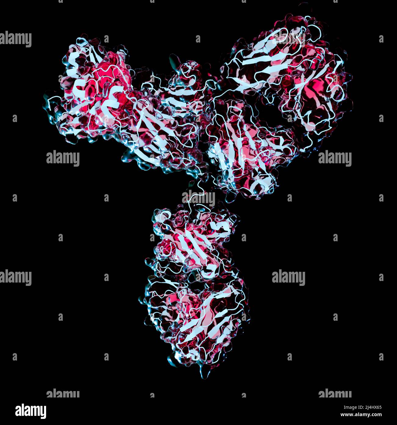 Antibody structure, illustration Stock Photo - Alamy