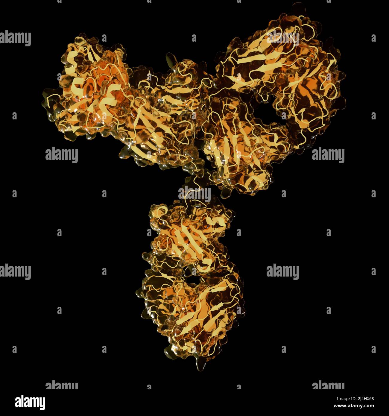 Antibody structure hi-res stock photography and images - Alamy