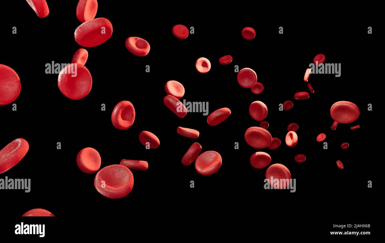 Normal red blood cells hi-res stock photography and images - Alamy