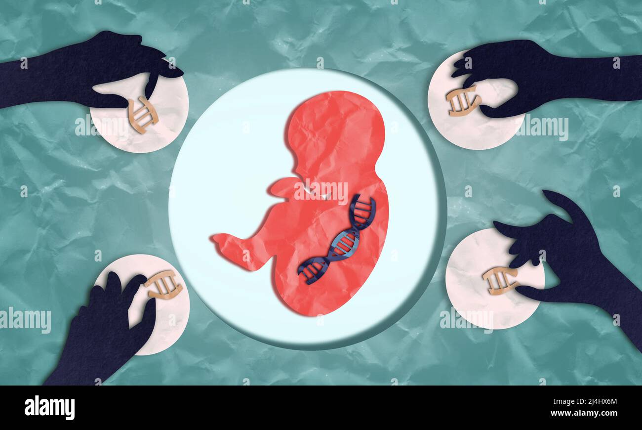 Genetic engineering designer babies, conceptual illustration Stock ...